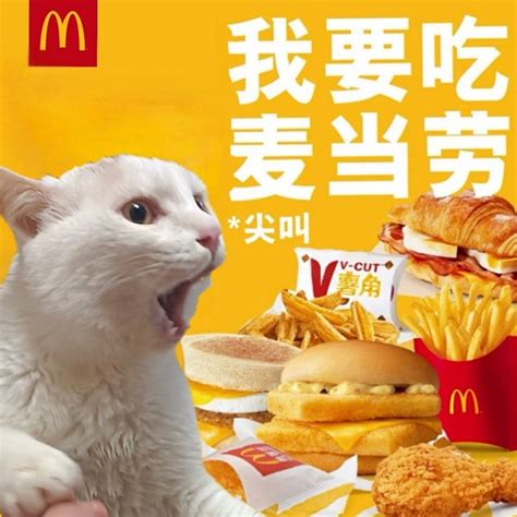 麦当劳无限好！！！