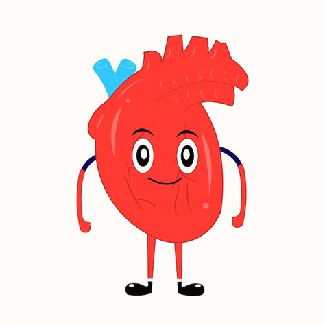 Premium Vector Vector Human Heart Organ Cartoon Heart Vector