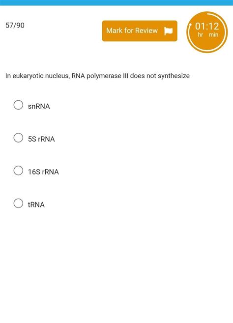Someone Pls Help Me Here Brainly In