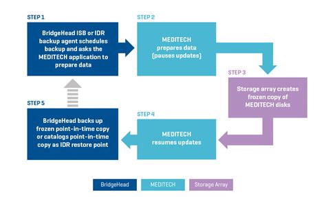 Meditech Protection Bridgehead Software
