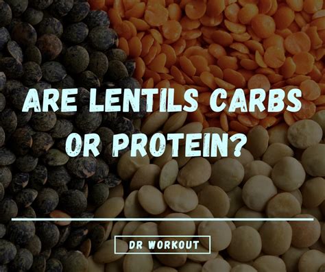 Are Lentils Carbs Or Protein Fully Explained Dr Workout