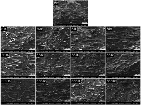 Sem Micrographs Of Fractured Surfaces Of Tensile Test Samples Of The
