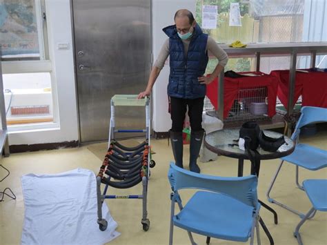 新北「動物輪椅diy」課程造福殘疾犬 熱血動保員義助逾30隻毛孩
