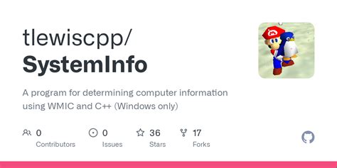 GitHub Tlewiscpp SystemInfo A Program For Determining Computer Information Using WMIC And C