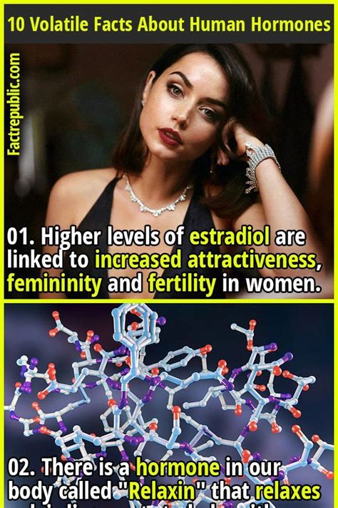 10 Volatile Facts About Human Hormones Thatll Drive You Crazy