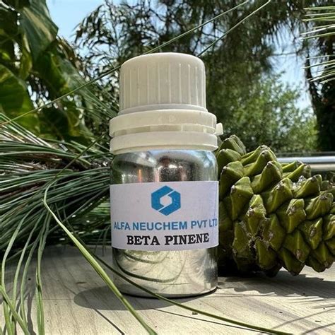 Beta Pinene 180kg At ₹ 309 Kg In Hoshiarpur Id 2851100683091