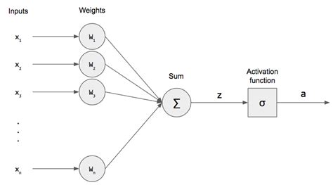 Single Perceptron Calculation [2] Download Scientific Diagram