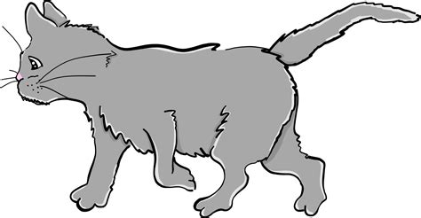 Grey Cat Illustration Vector On White Background 13596483 Vector Art
