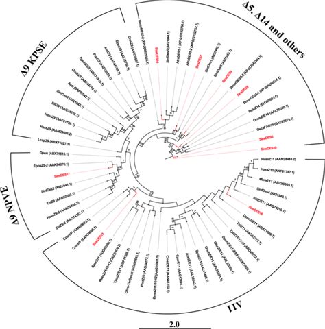 Sex Pheromones Plos One