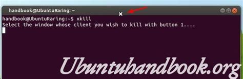 How To Easily Kill A Frozen Locked Up App Or Window In Ubuntu UbuntuHandbook