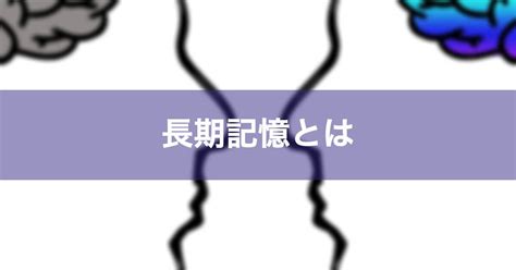 長期記憶とは？意味や種類、脳部位との関連を具体例とともに解説 Psycho Psycho