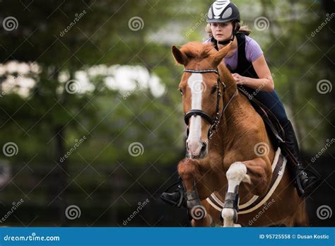 Muchacha Bonita Joven Que Monta Un Caballo Foto De Archivo Imagen De