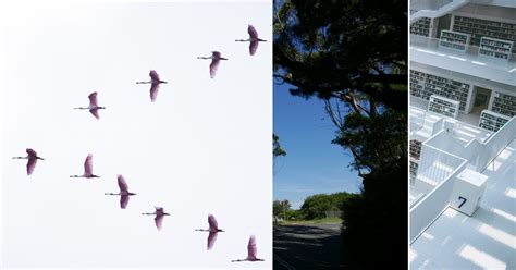 16 Stories About Data Science And Data Engineering Curated By Nunoedgar