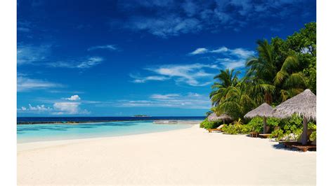 Wallpaper Beaches Caribbean 65 Images