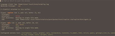 Formatting Breaks PostgreSQL Code Issue 105 Sqls Server Sqls GitHub