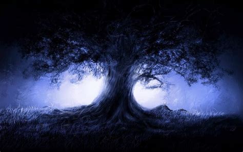 Blue Tree Wallpaper Forest Wallpaper Tree Wallpaper Dark Wallpaper Abstract Wallpaper
