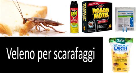I Migliori Prodotti Killer Per Scarafaggi Del Da 5 A 50 Guida