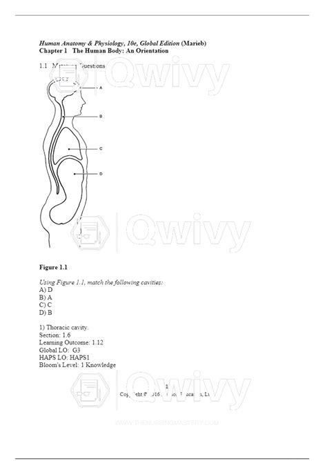 Human Anatomy Physiology 10th Edition Marieb Hoehn Test Bank Latest