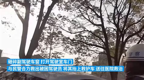 安庆一驾驶员突发晕厥 驾车冲进路边绿化带凤凰网安徽凤凰网