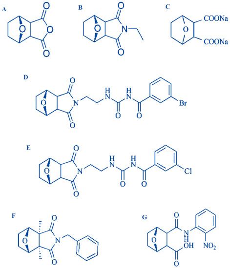 Molecules Free Full Text Anticancer Attributes Of Cantharidin Involved Molecular Mechanisms