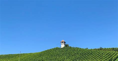 Bodensee 경작 경치 경치가 좋은 고요한 그림 같은 낮 녹색 녹지 농업 농지 농촌의 독일 맑은 하늘