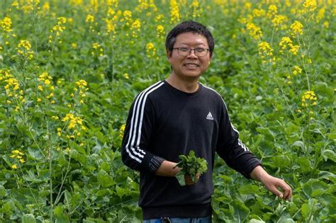 韶关仁化：“粤油”系油菜薹试种成功，菜农笑逐颜开忙丰收江头村种植李海渤