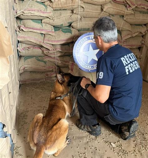 Receita Federal Aprende 13 Tonelada De Cocaína No Porto Do Rio Droga