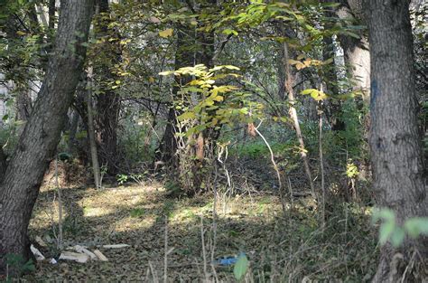 Filippos Margaritis Photography