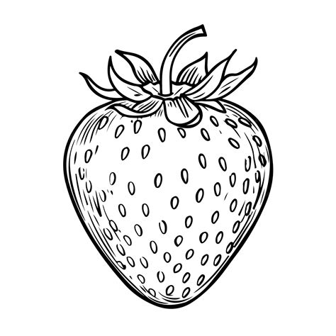Premium Vector Doodle Vector Outline Cartoon Of Strawberry