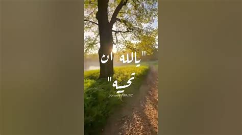 فهد بن فصلا مرحبابكجيتواناكنت جالسفيك افكرياهلا وياغلا ياللي