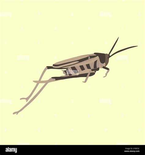 Vector Isolated Illustration Of A Grasshopper On A Yellow Background