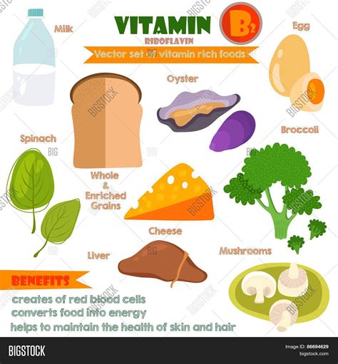 Vitamins Minerals Vector And Photo Free Trial Bigstock