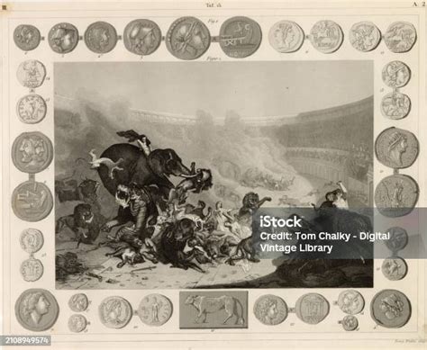 야생 짐승과의 로마 콜로세움 전투 극적인 1851년 골동품 장면 1800년에 대한 스톡 벡터 아트 및 기타 이미지 1800년 19세기 검은색 Istock