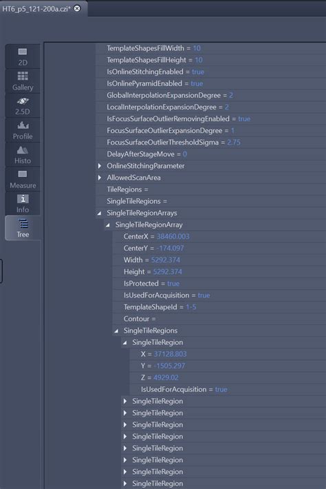Stitching Czi Files That Contain Scenes Usage Issues Image Sc Forum