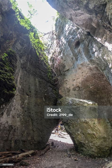 Los Paisajes Más Bellos De Los Alpes Con Una Población De Árboles Casi