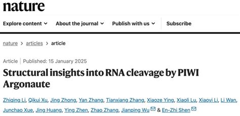 西湖大学2025年首篇nature：申恩志吴建平团队首次揭示“rna剪刀”的切割全过程澎湃号·湃客澎湃新闻 The Paper