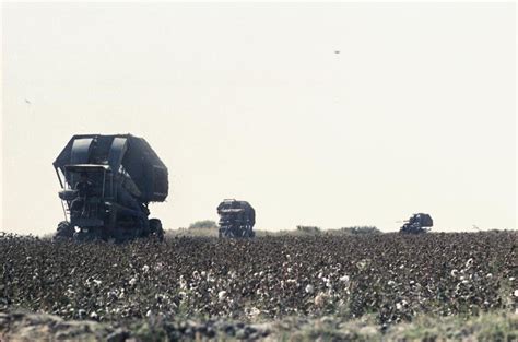 Фото Уборка хлопка Комбайны на хлопковом поле 1965 год Туркменская ССР Ташаузская обл