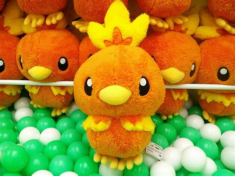 アミュージアム川口店 On Twitter ポケットモンスター ほっこりいやされ めちゃでかぬいぐるみ アチャモ 手触りが暖かくて抱きしめ