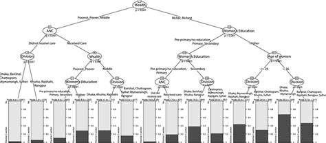 Classification Tree Diagram Displaying The Important Predictors Of