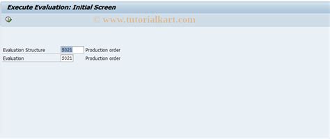 MCR SAP Tcode SFIS Execute Evaluation MCR SAP Tcode SFIS Execute Evaluation