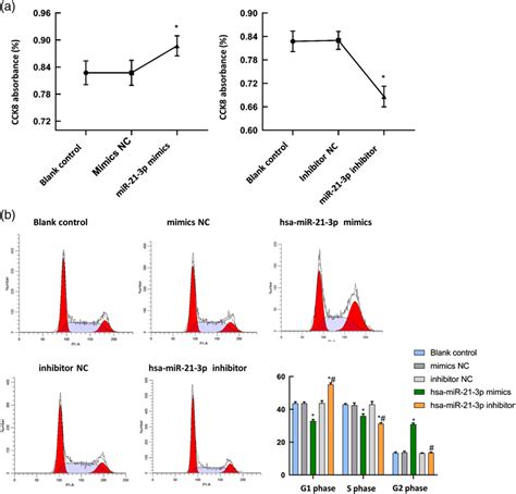Effect Of Mir 213p On Cell Proliferation And Cell Cycle Of Hacat