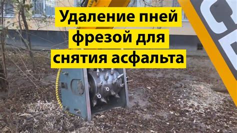 Фреза для снятия асфальта и удаления пней - YouTube