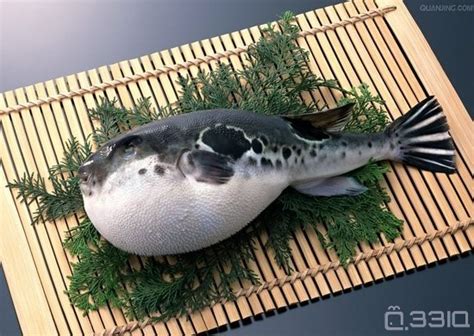 【美食系列】 “蒌蒿满地芦芽短，正是河豚欲上时 ”，河豚作为一种古已 133215 文史知识 知识百科 33iq