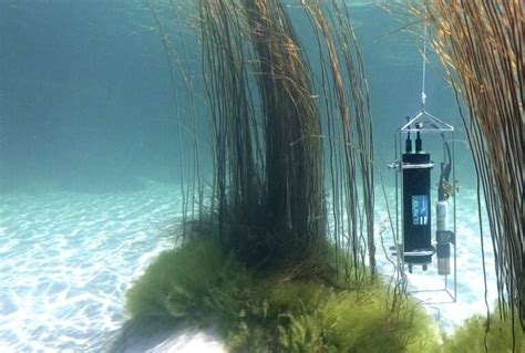 Dissolved CO2 Sensor Probes For Accurate Marine CO2 Monitoring