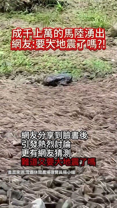 雪霸 林道成千上萬馬陸 遷徙 網友要大地震 了嗎 Shorts Youtube