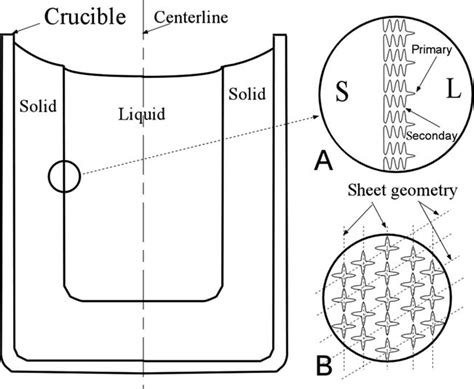 dendritic interface at solidification front a an edgeon view of