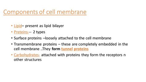 Cell Membrane Powerpoint Slides Learnpick India