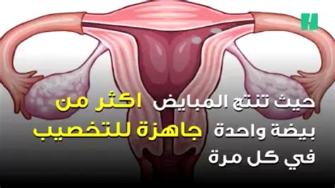 إمرأة تنجب 44 طفل في 25 سنة Youtube