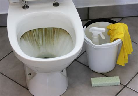 What Causes Black Stains In My Toilet At Bernadette Williams Blog