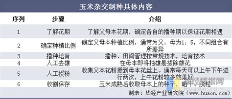 2020年中国杂交玉米制种现状分析，加大育种技术投入和研发，才能提升制种企业竞争力「图」 知乎